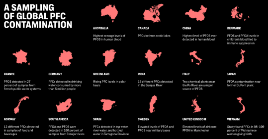 Teflon Toxin Has Spread Throughout the World – The Intercept