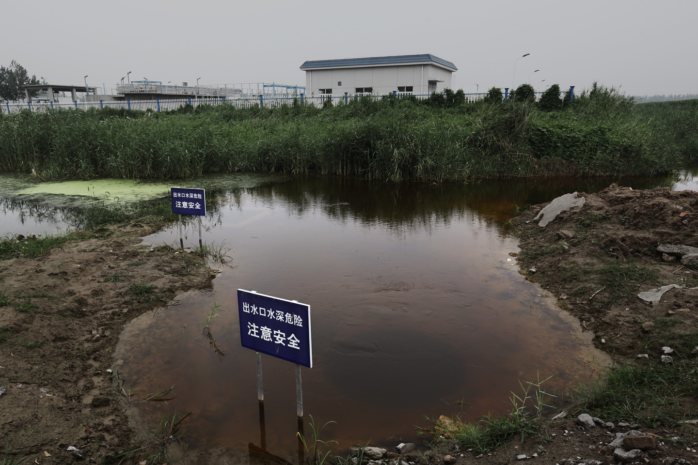 The Teflon Toxin Goes to China - The Intercept