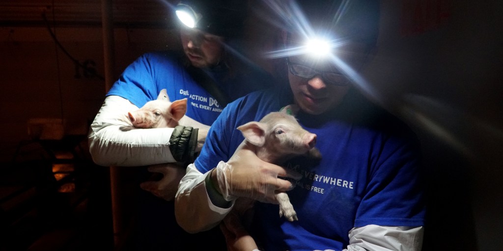 Animal Rights Activism - The Intercept