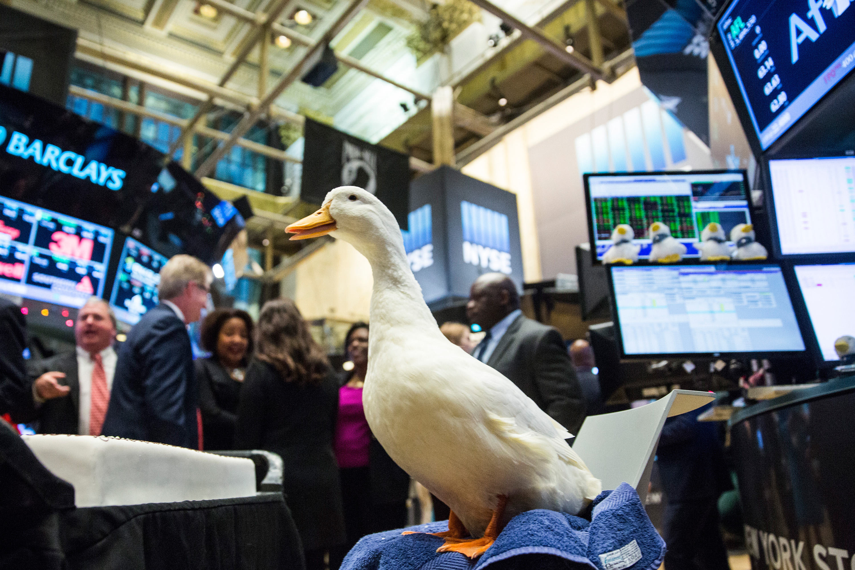 Sales Pressure at Aflac Led to Account Fabrications and Policies Sold ...