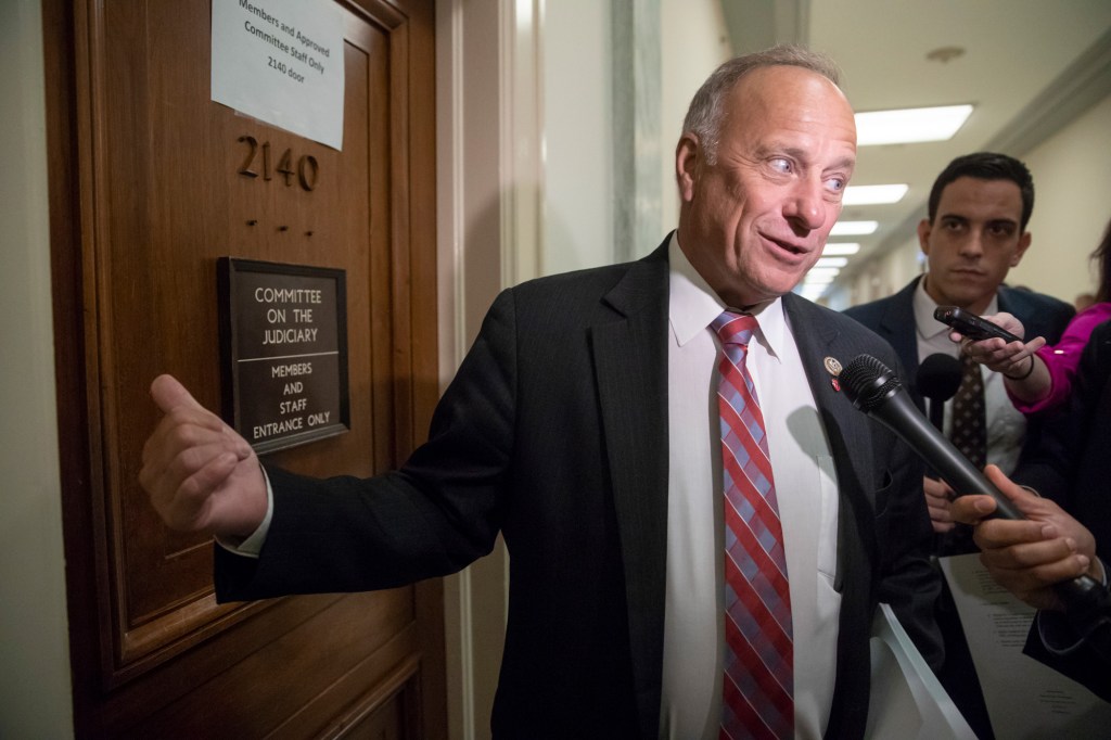 Iowa Insurgent Hopes His Message Can Dethrone Steve King