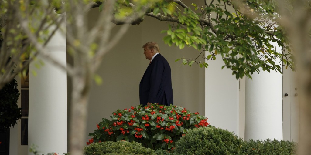 Third of Voters Against Impeachment Worry About Democrats