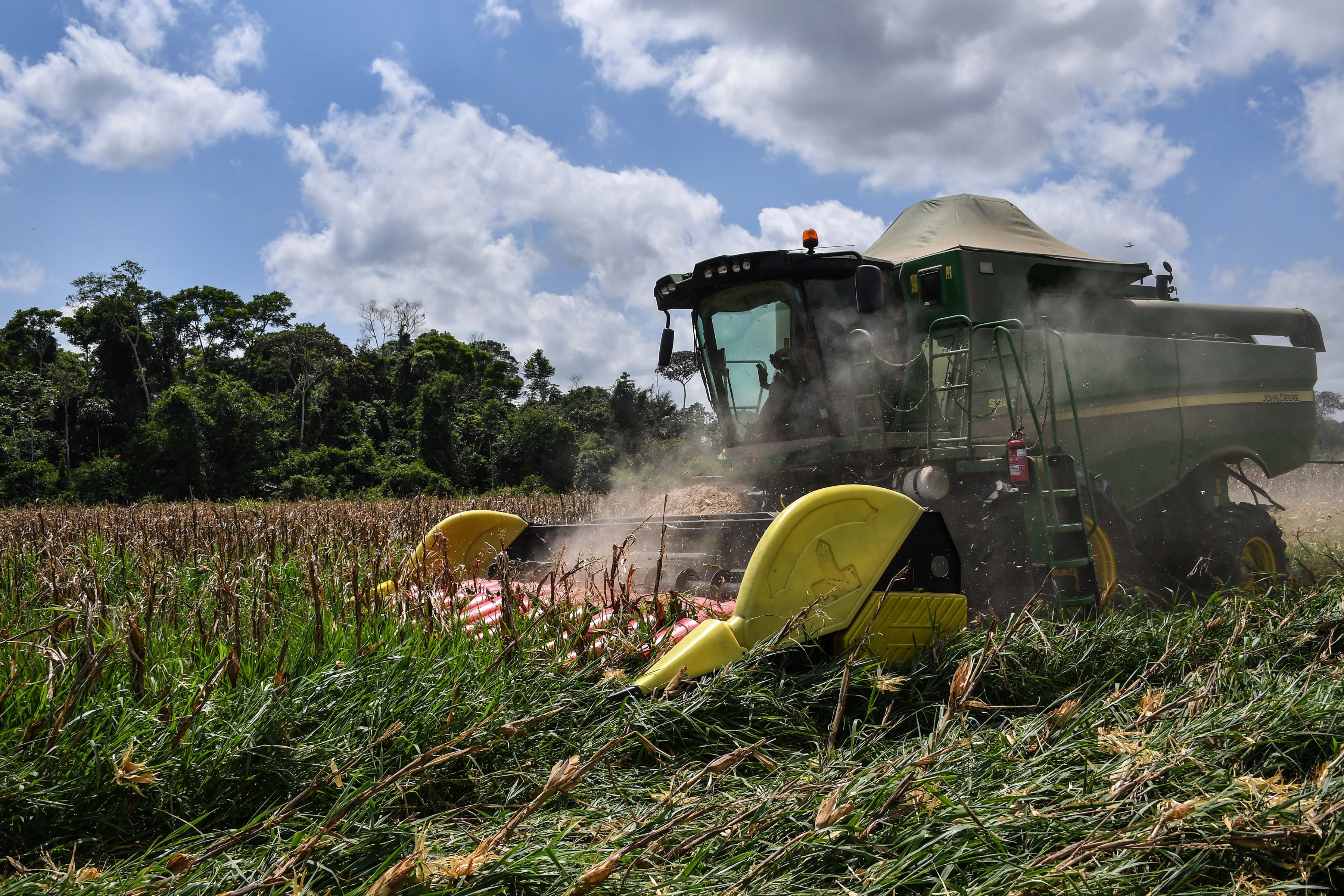 How Your 401(k) Is Helping Destroy the Amazon Rainforest