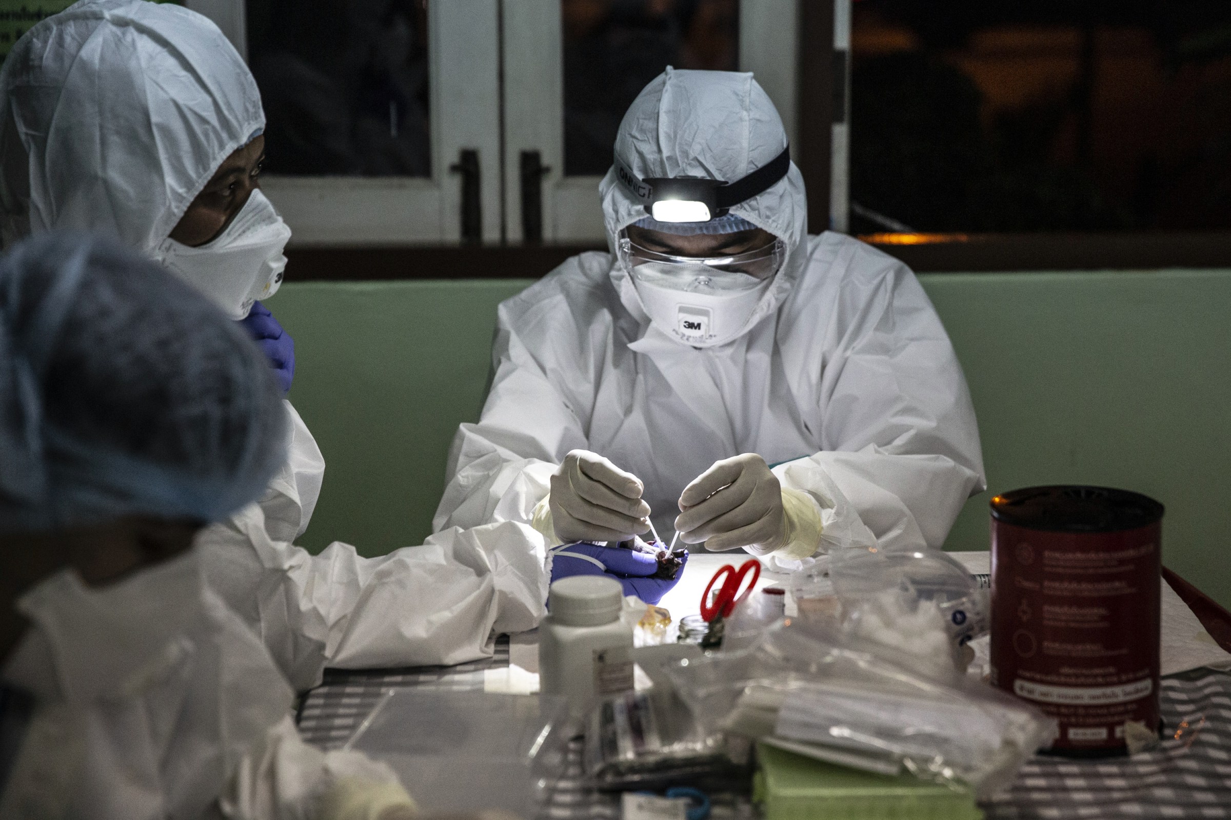 Infection of Wildlife Biologist Highlights Risk of Virus Hunting