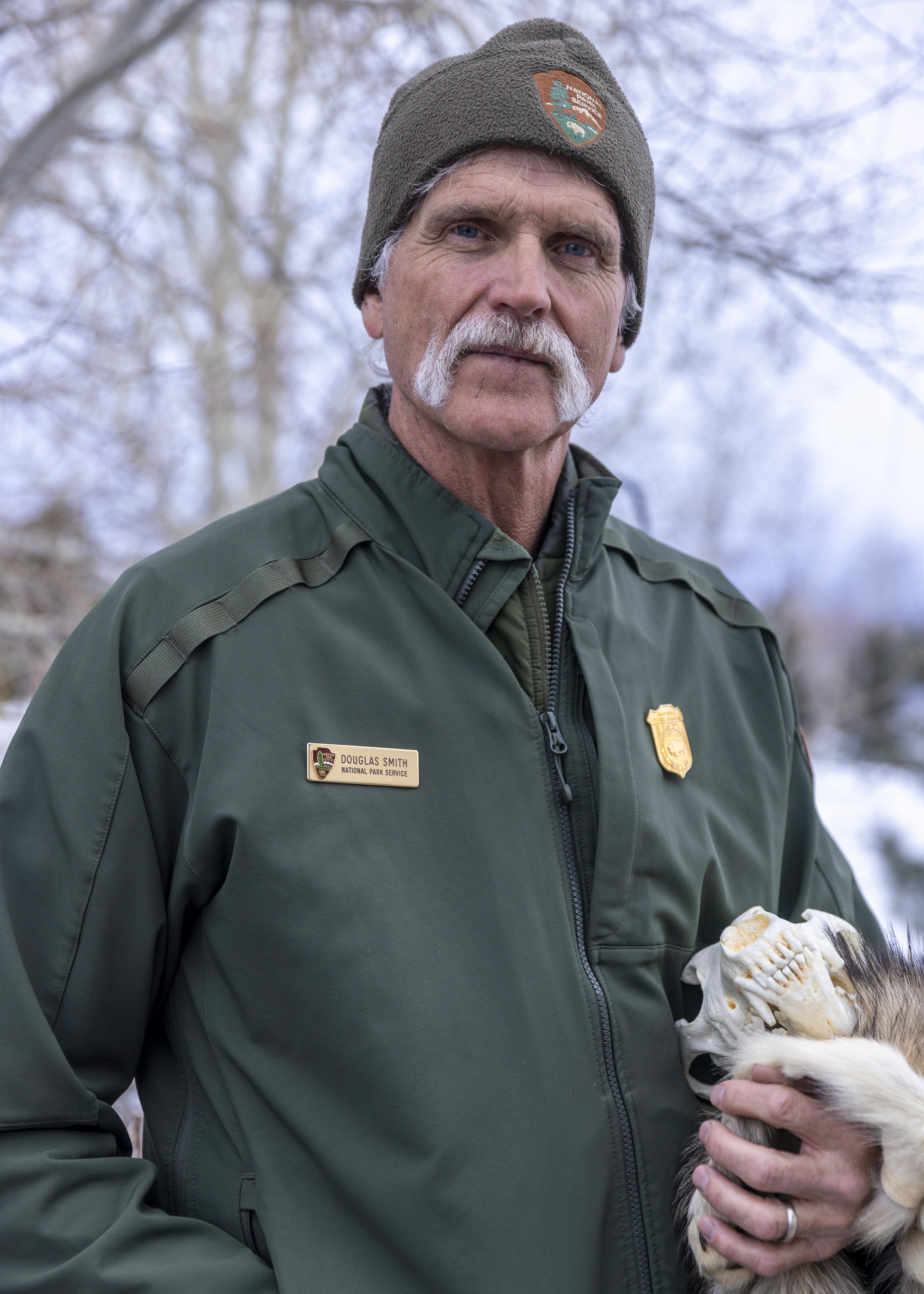 Was Yellowstone’s Deadliest Wolf Hunt in 100 Years an Inside Job?