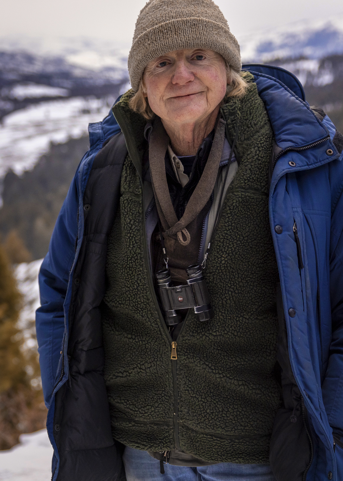 Was Yellowstone’s Deadliest Wolf Hunt in 100 Years an Inside Job?