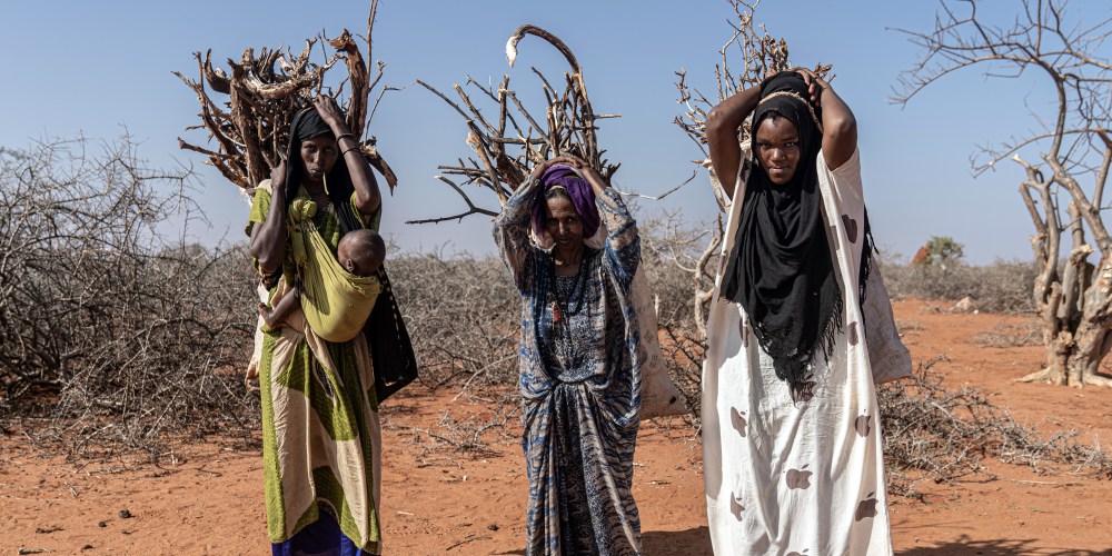 Climate Change and Conflict Are Wreaking Havoc in Somalia