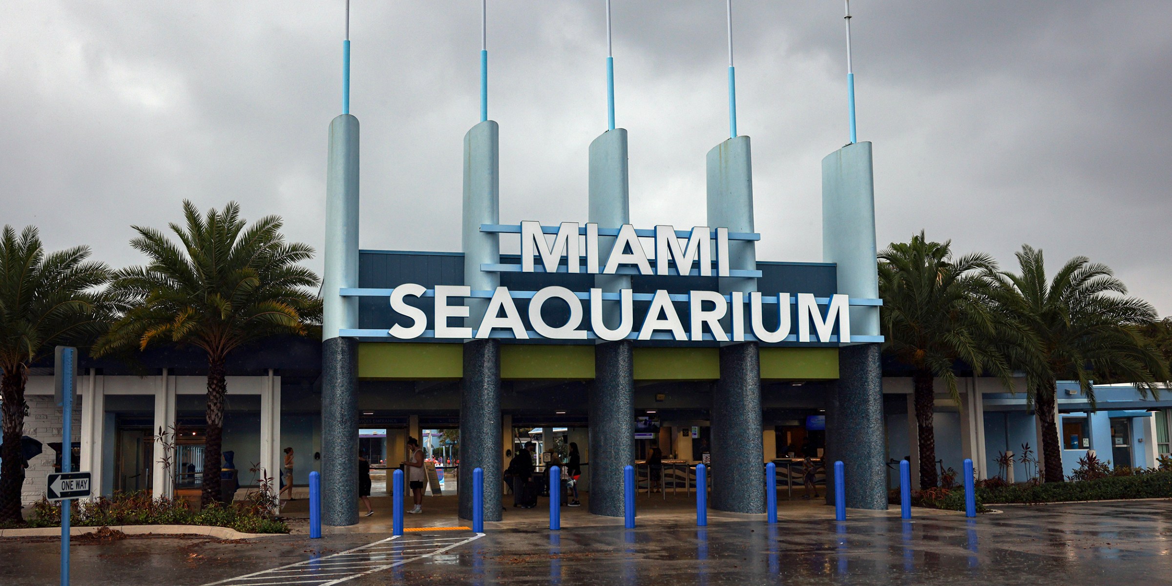 The Miami Seaquarium Is on the Brink of Collapse