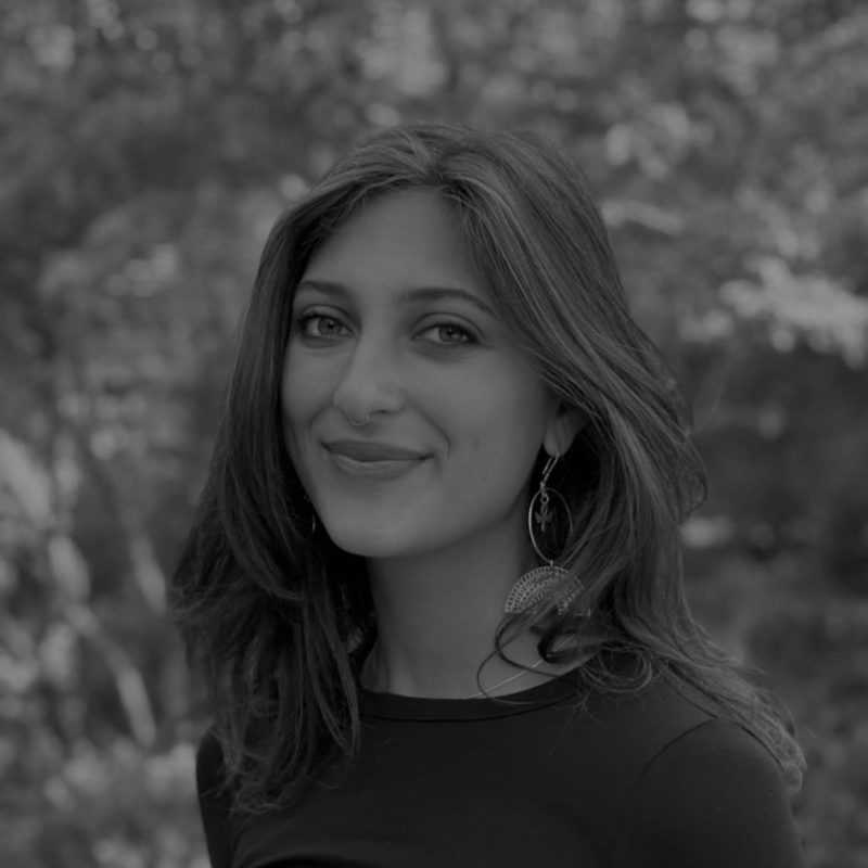 Lara-Nour Walton, Author at The Intercept